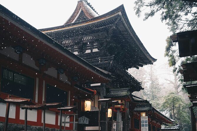 Private Small Tour in Hakone Kanagawa - Who Is This Tour Best For?