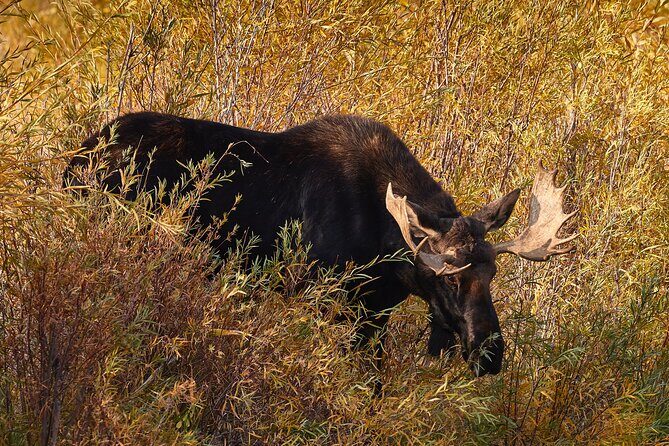 Private Snake River Scenic Float with Teton Views - Final Thoughts
