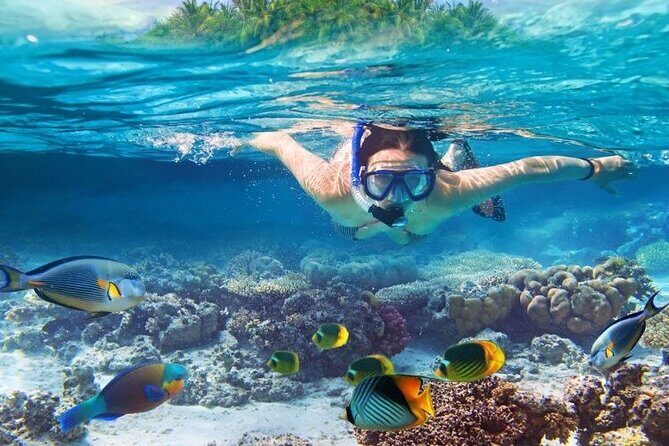 Private Snorkel along the West Coast - Why Choose This Tour?