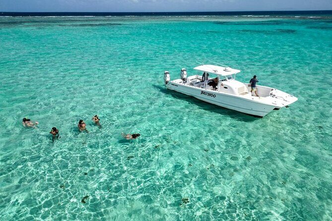 Private Snorkel and Cruise Experience in Ceiba - A Closer Look at the Private Snorkel and Cruise Experience