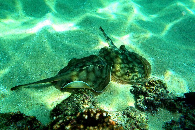 private snorkel - The Real Experience: What Travelers Say