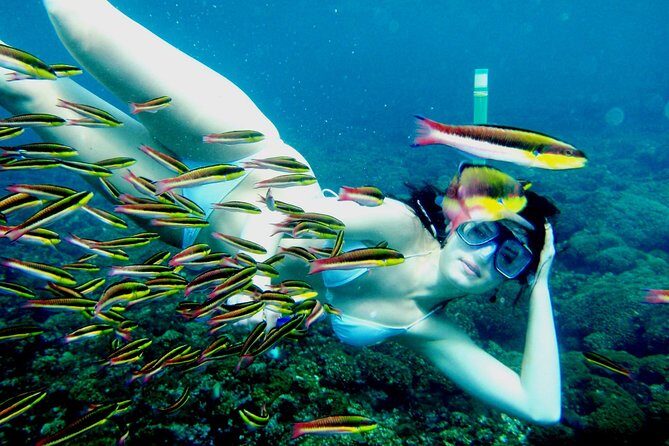 private snorkel - Final Thoughts