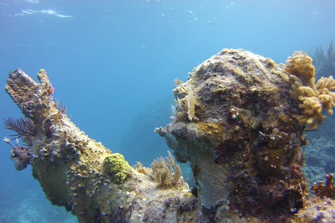 Private Snorkel to Key Largo Reef for up to 12 - INCLUDES GEAR! - An In-Depth Review of the Tour Experience