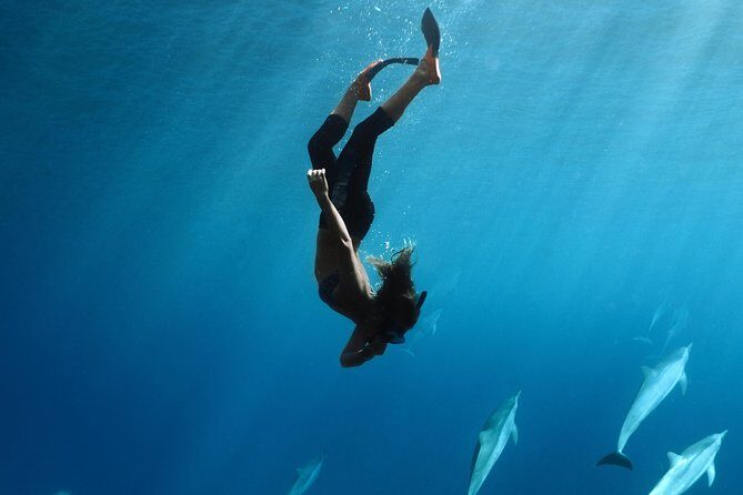 Private Snorkel Tour 3 Hrs 1 stop from Kaanapali Beach - Key Points