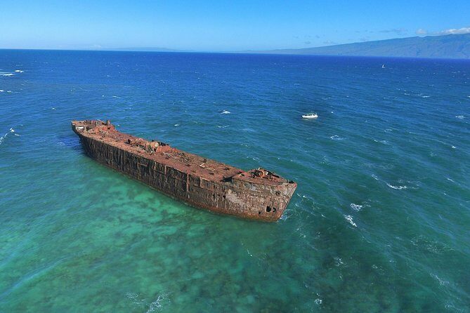 Private Snorkel Tour 3 Hrs 1 stop from Kaanapali Beach - What to Expect on Your Maui Snorkel Adventure