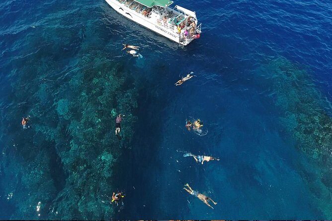 Private Snorkel Tour 3 Hrs 1 stop from Kaanapali Beach - Final Words