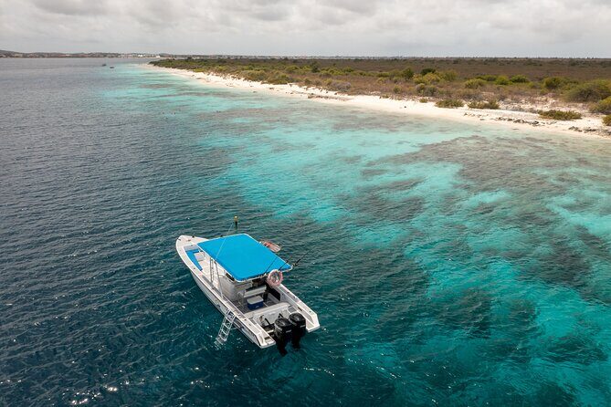 Private Snorkel Tour with Captain and Guide Bonaire Marine Park - The Experience in Detail: What to Expect from the Tour