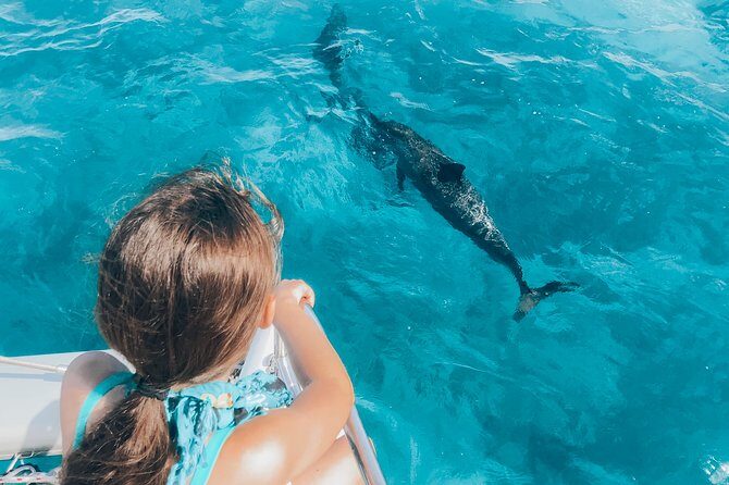 Private Snorkel Trip from Oahu on a Yacht - FAQ