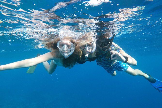 Private snorkel with 2 stops in Aruba - Eco-friendly! - FAQ: Everything You Might Want to Know