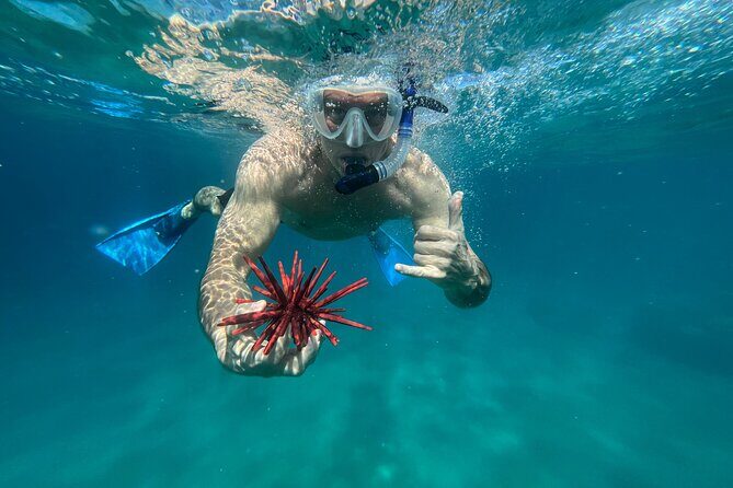 Private Snorkel with Beach Set-Up - An In-Depth Look at the Experience