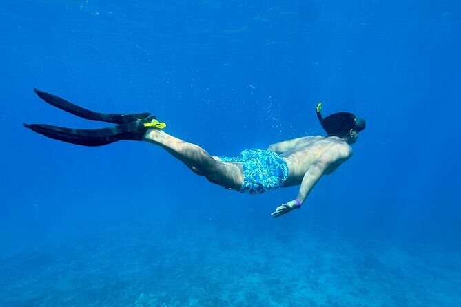 Private Snorkel with Beach Set-Up - Final Thoughts