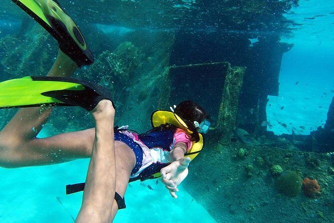 Private Snorkeling Adventure in Cancun - Final Thoughts: Is This the Right Cancun Snorkeling Tour for You?
