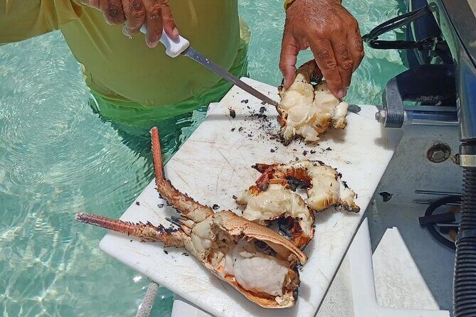 Private Snorkeling And Fishing Activity - Final Thoughts