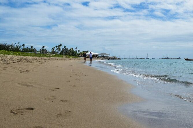 Private Snorkeling and Sailing Adventure - Deep Dive: The Itinerary & Highlights