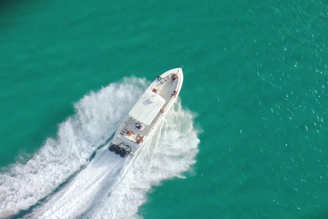 Private Snorkeling Charter to Creole Rock 3 hours - Who Will Love This Tour?