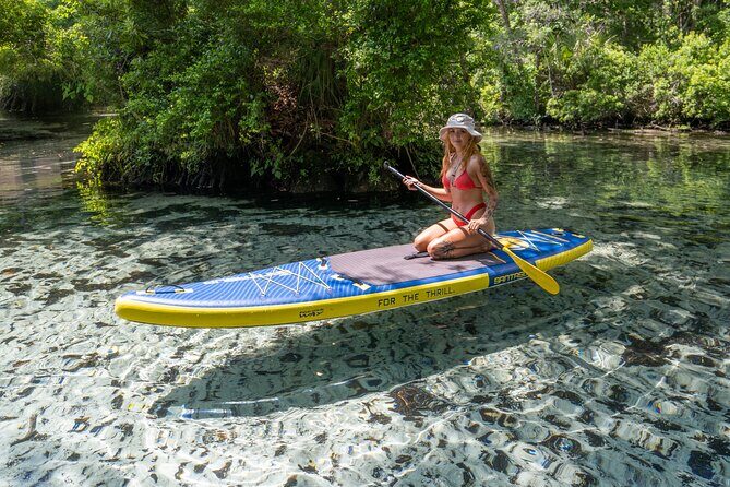 Private Snorkeling Expedition in the Florida Springs - Exploring Florida’s Hidden Gems
