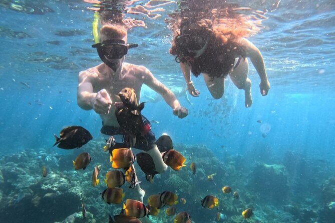 Private Snorkeling from Nusa Penida - An In-Depth Look at the Experience