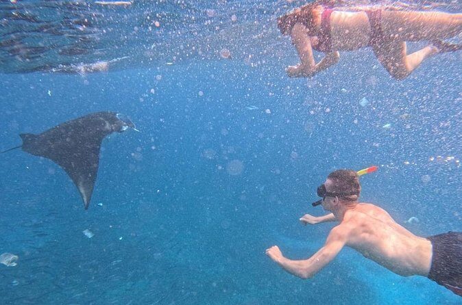 Private Snorkeling from Nusa Penida - FAQ