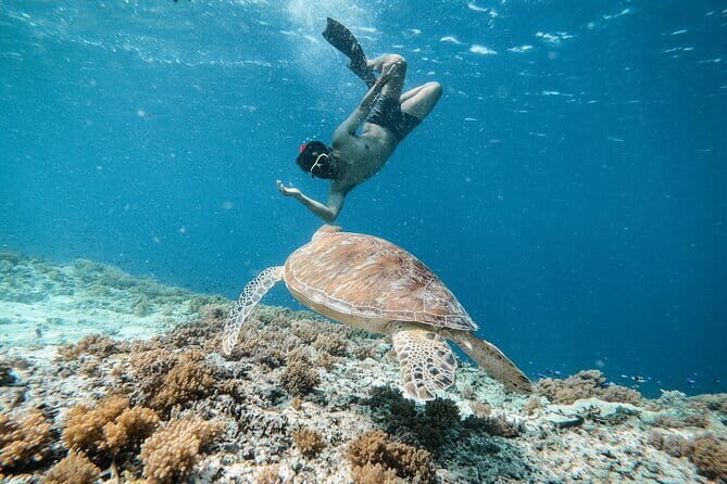 Private Snorkeling Gili Island Including GoPro Camera - Getting to Know the Tour
