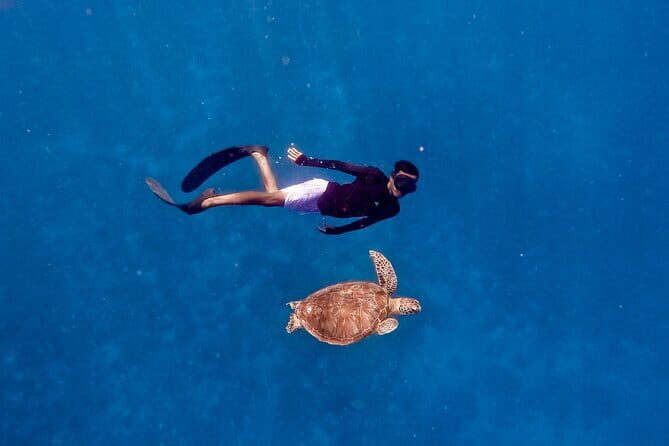 Private Snorkeling Gili Island Including GoPro Camera - The Photography: A Highlight