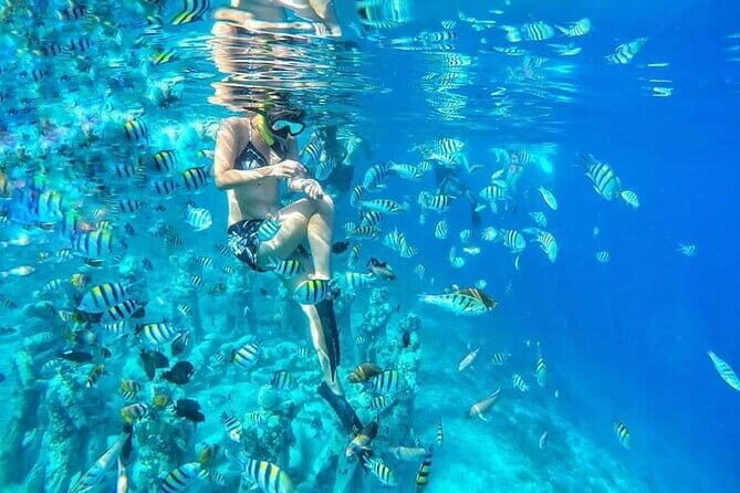 Private Snorkeling Gili Island Including GoPro Camera - The Return and Overall Value