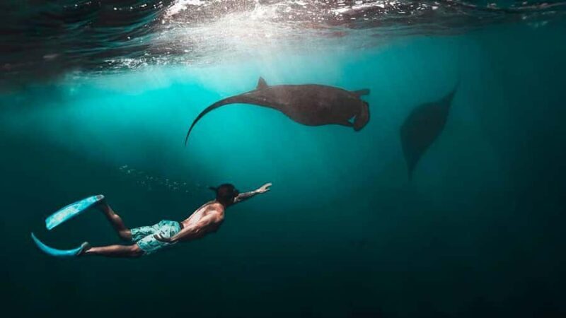 Private Snorkeling in Nusa Penida - Key Points