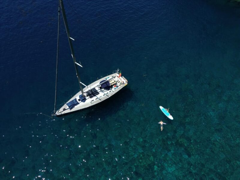 Private Snorkeling & Lunch Nature Reserve Garajau - Conclusions About the Experience