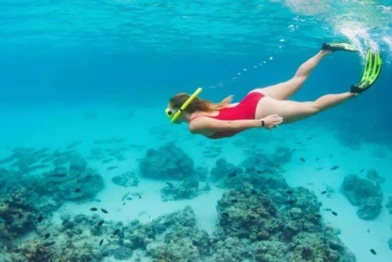 Private Snorkeling & Lunch Nature Reserve Garajau - Practical Tips for Your Booking