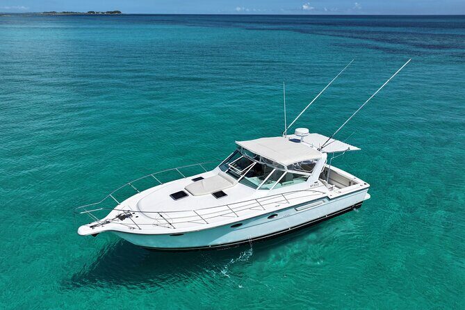 Private Snorkeling or Fishing Charter in Nassau - 38ft Free Time - Key Points