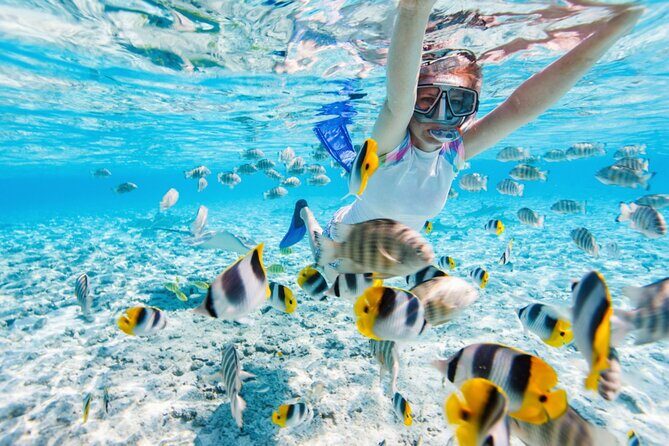 Private Snorkeling Start Gili Meno and Explore 4 Spots with GoPro - The Practical Details