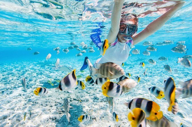 Private Snorkeling Start Gili Meno and Explore 4 Spots with GoPro - Who Will Love This Tour?