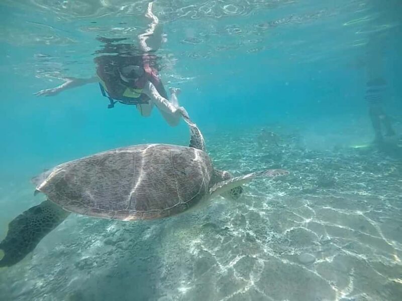 Private Snorkeling Tour GoPro Footage Costumize Tour - The Itinerary in Detail