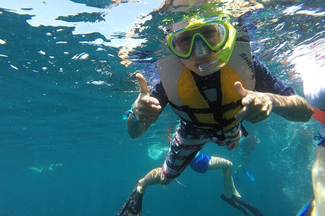 Private Snorkeling Tour in Cabo San Lucas - Why Choose This Private Snorkeling Tour?