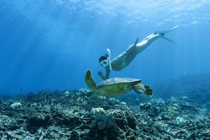 Private snorkeling tour Ishigaki island - Who Should Consider This Tour?