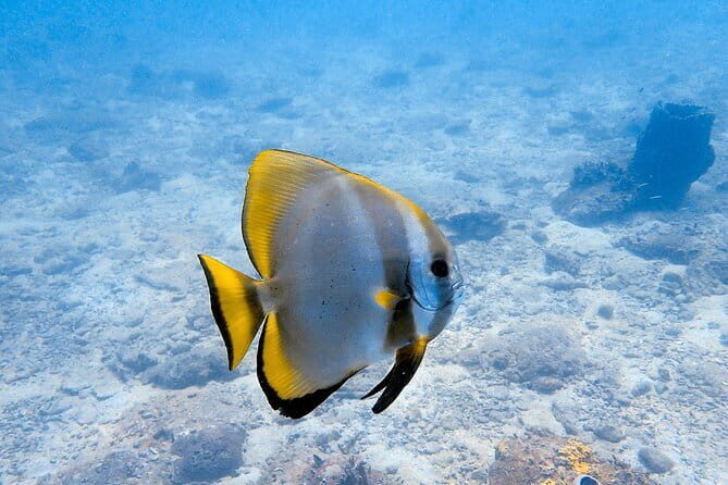 Private Snorkeling trip at Koh Kood - FAQ