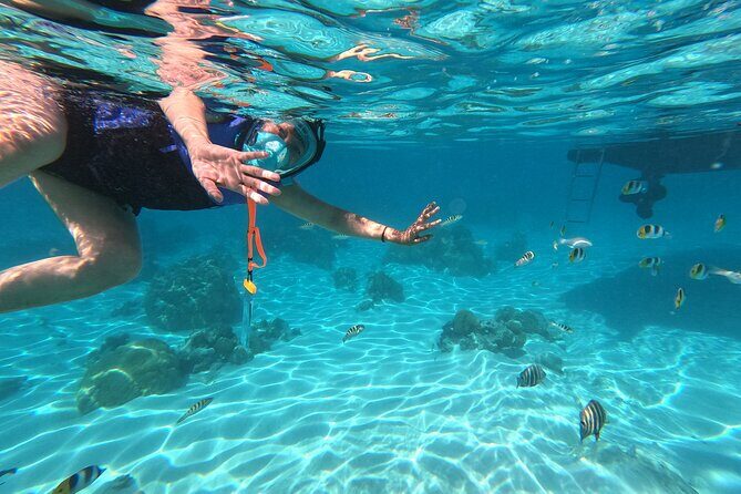 Private Snorkeling Trip on a Polynesian Outrigger - The Sum Up