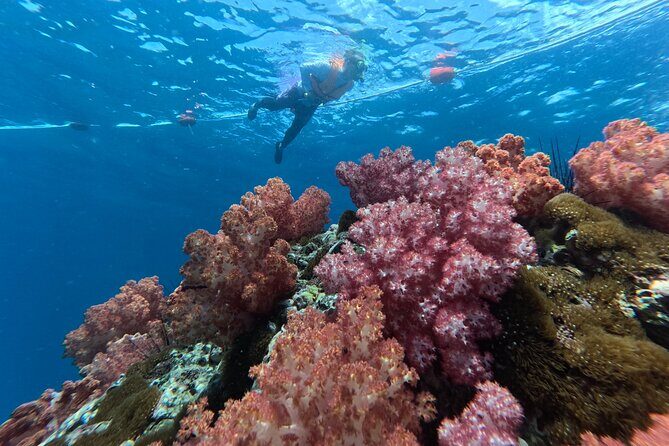 Private Snorkeling Trip Route A by Long Tail Boat - Key Points