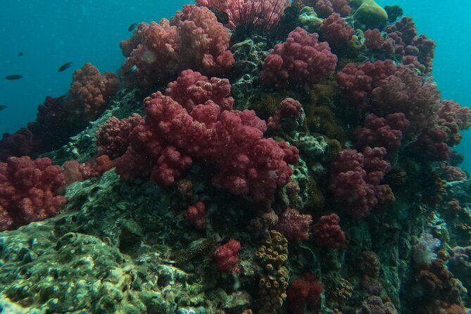 Private Snorkeling Trip Route A by Long Tail Boat - The Sum Up: Is It Worth It?