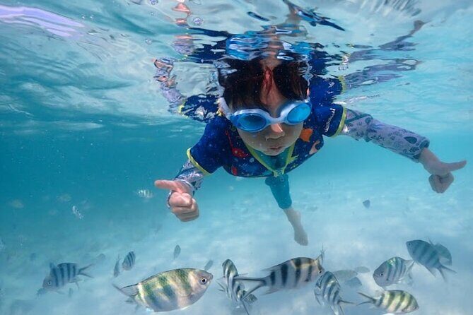 Private Snorkeling Trip to Samaesan Island from Pattaya - Who Will Love This Tour?