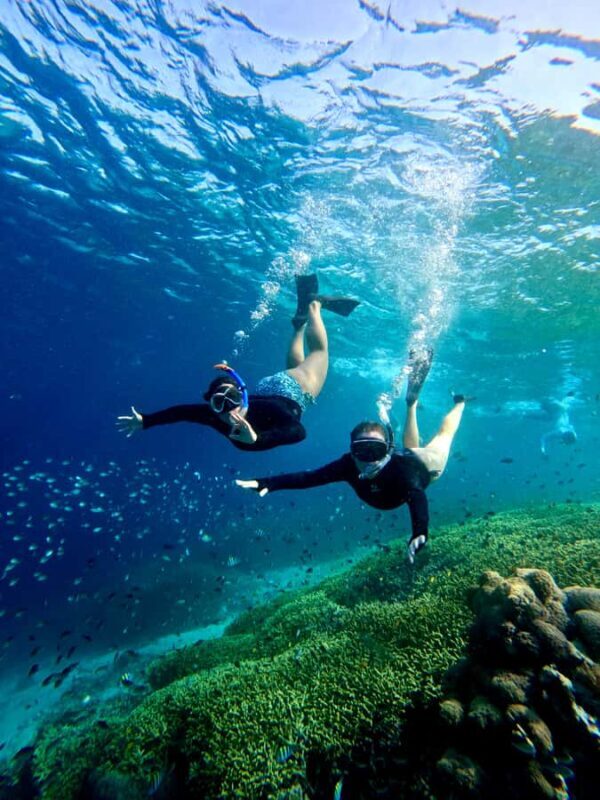 Private snorkeling with turtle and romantice statue - What Makes This Snorkeling Tour Stand Out?