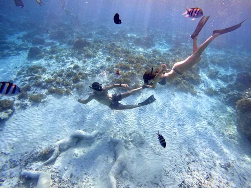 Private snorkeling with turtle and romantice statue - Practical Tips for Your Snorkeling Adventure