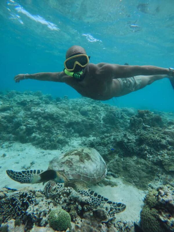 Private snorkeling with turtle and romantice statue - FAQ