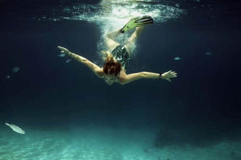 Private Snorkeling with Turtles in the Maldives - Itinerary Breakdown: What to Expect