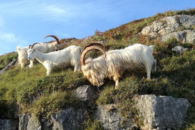Private Snowdonias Mountains, Lakes & Mines Tour - Final Thoughts: Who Will Love This Tour?