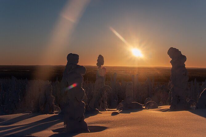 Private Snowshoe or Ski Adventure in Lapland - Key Points