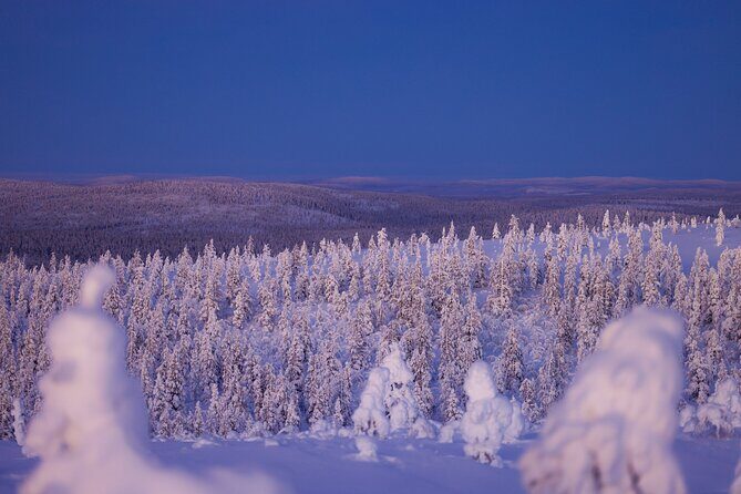 Private Snowshoe or Ski Adventure in Lapland - Meeting Points, Timing, and Logistics