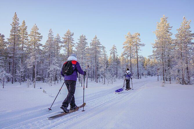 Private Snowshoe or Ski Adventure in Lapland - Practical Considerations and Tips