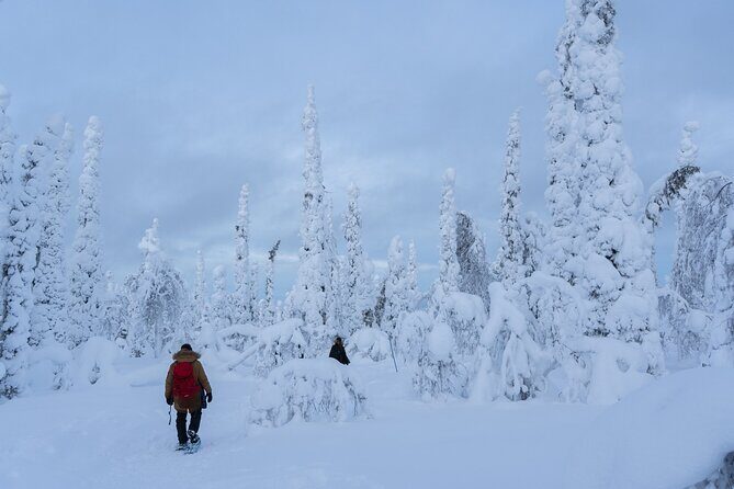 Private Snowshoe or Ski Adventure in Lapland - Who This Tour Is Perfect For
