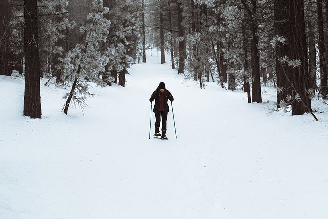 Private Snowshoeing Adventure from Badger Pass to Dewey Point - Key Points