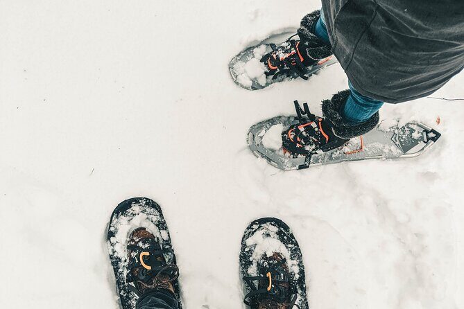 Private Snowshoeing Adventure from Badger Pass to Dewey Point - Weather and Cancellation Policy